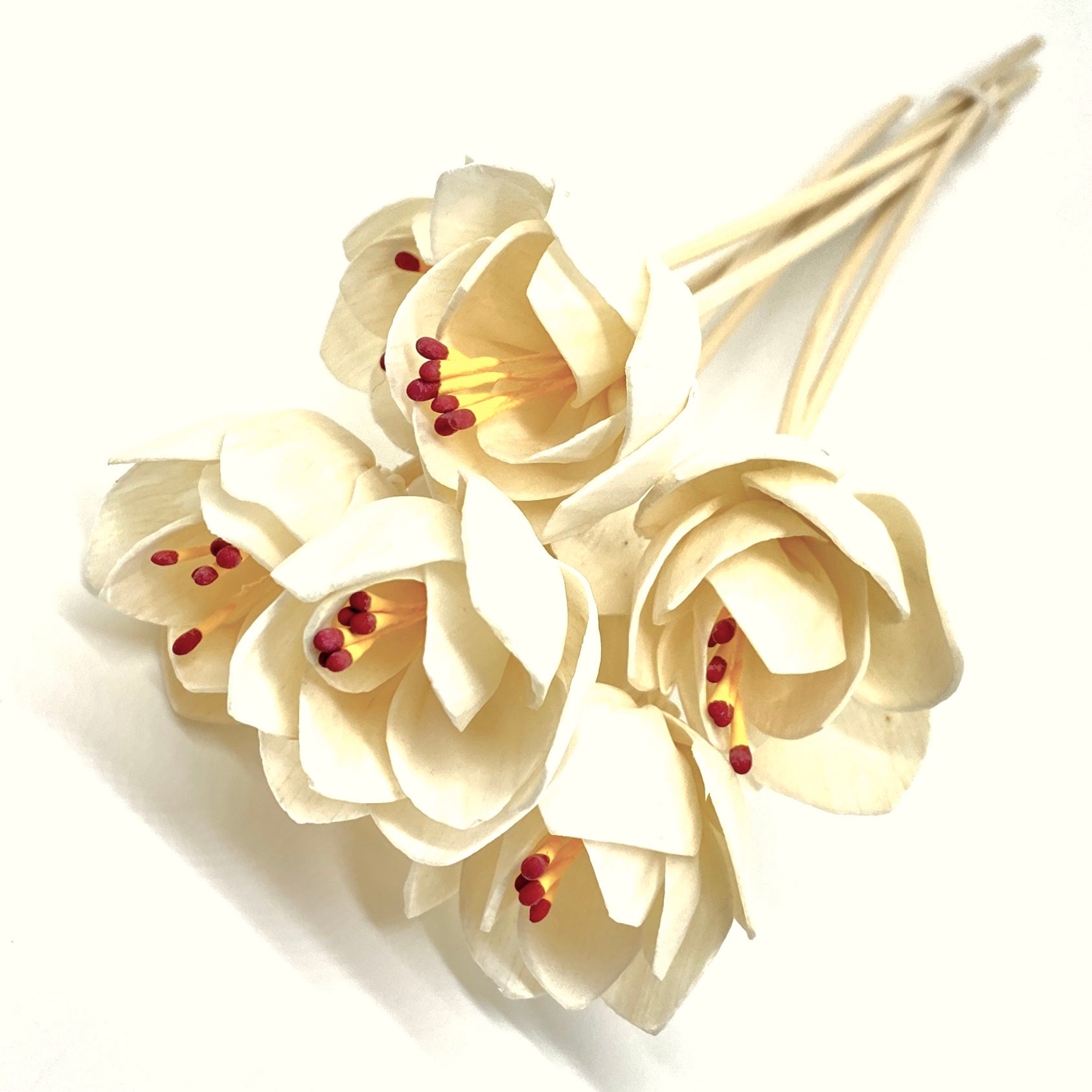 S & C Flower Reed Single – Sage & Cedar