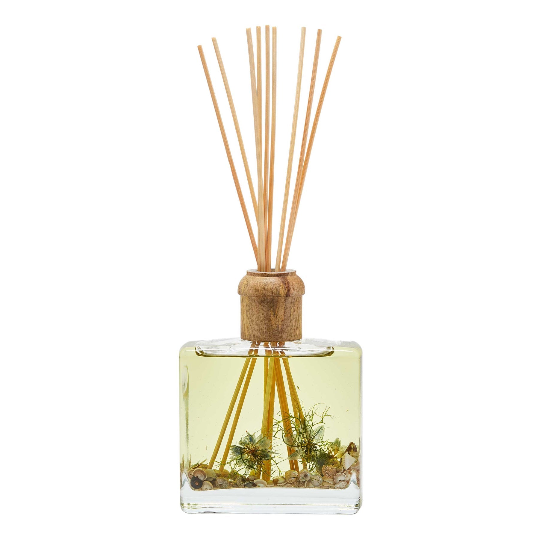 Coastal Vanilla Botanical Diffuser 13oz. (Beach Daisy) – Sage & Cedar