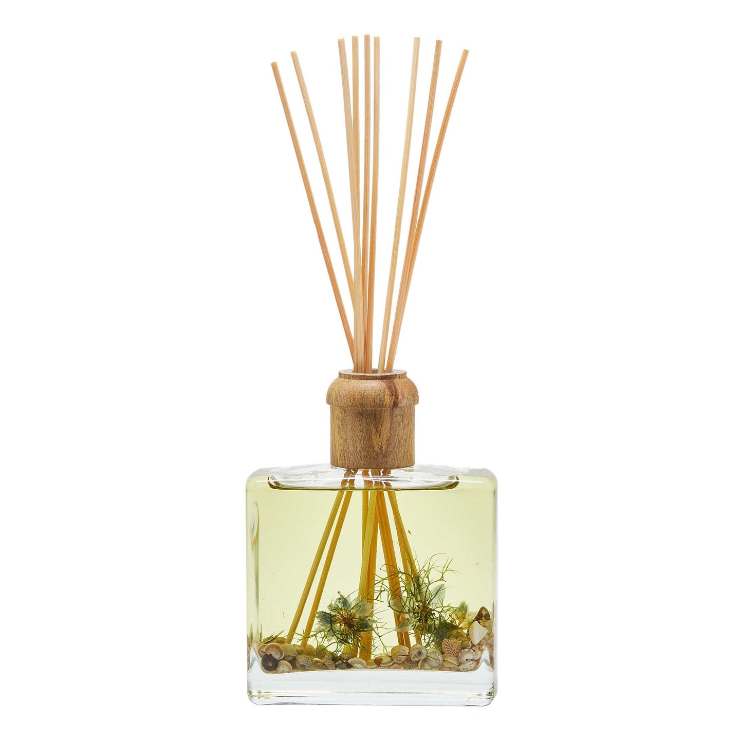 Coastal Vanilla Botanical Diffuser 13oz. (Beach Daisy) – Sage & Cedar
